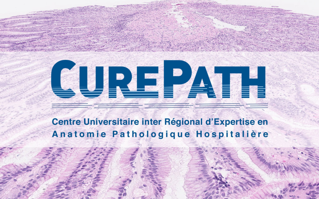 CurePath – Centre Universitaire inter Régional d'Expertise an Anatomie ...